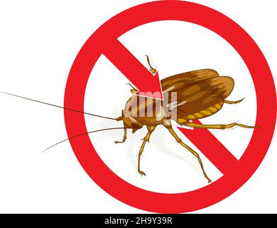 Stop Cockroach sign. Vector illustration Stock Vector Image & Art - Alamy