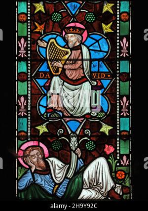 King David, Harp and Tree of Jesse, stained glass window, Old ...