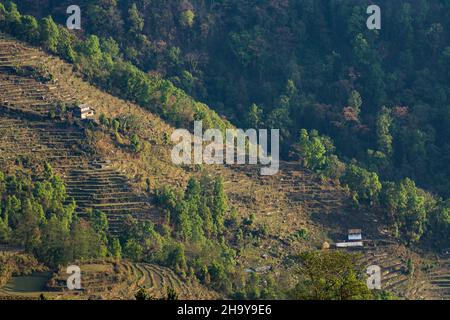 Nepali houses on hillside terraces in Kathmandu valley Nepal Stock ...