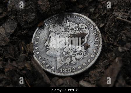 1882 Morgan Silver Dollar outside on dirt Close up Stock Photo - Alamy