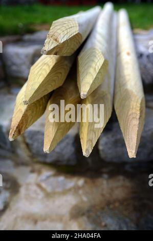 a few wooden stakes with spikes ready for construction works Stock ...