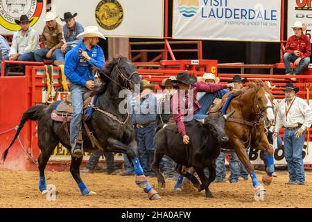 Steer Wrestling seen on Southeastern Circuit Finals Rodeo in Davie, FL ...