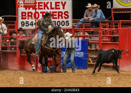 Tie-down Roping seen on Southeastern Circuit Finals Rodeo during the ...