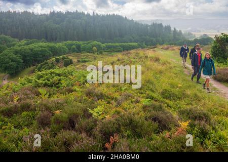 Rebild, Rebild National Park, heath, hiker in Rebild Bakker, Jylland ...