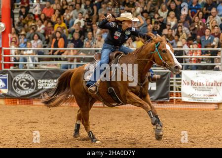 Barrel Racing seen on Southeastern Circuit Finals Rodeo during the ...