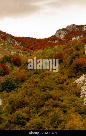 Forest landscape of Teverga in Asturias Stock Photo - Alamy
