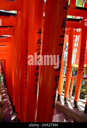 Tori gates at a shrine in Tokyo Stock Photo - Alamy