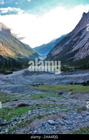 Green hilly landscape on a foggy day Stock Photo - Alamy