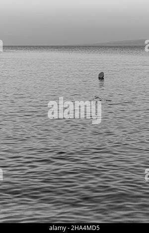 labadusa beach,ciovo island,croatia Stock Photo - Alamy