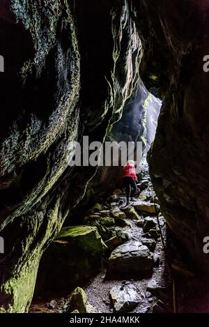 Guided tour of the paintings in the Solsem Cave on the island of Leka ...