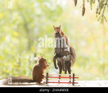 Red squirrel riding on a horse in snow Stock Photo - Alamy