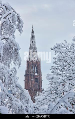 Winter mood with snow, Freiburg Minster, Freiburg im Breisgau, Black ...