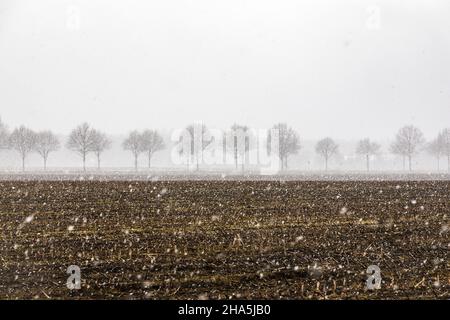 onset of winter in spring,winter impression Stock Photo - Alamy
