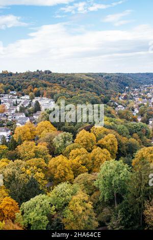 forest in bad godesberg Stock Photo - Alamy