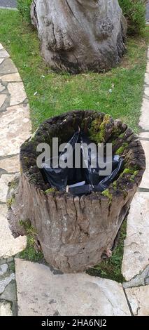tree trunk used as trash can Stock Photo - Alamy