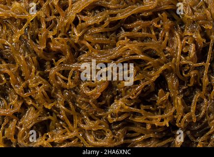 Mozuku Seaweed with Vinegar Stock Photo - Alamy