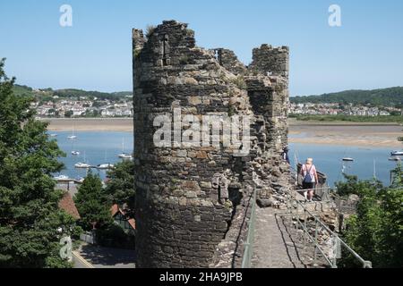 Walk,walking,walker,castle,walls,around,town,of,in,Conway,Conwy,Conwy ...