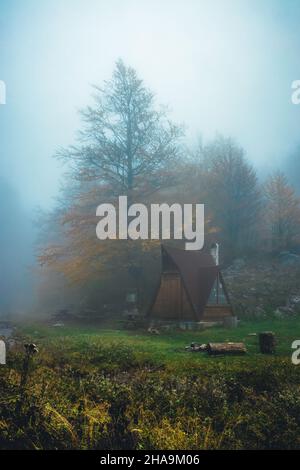 Wooden triangle hut in the mountains forest. Autumn colors. Dense mist ...