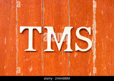 Alphabet letter in word TMS (Abbreviation of Transportation management ...