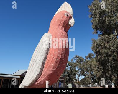 The Big Galah is a tourist attraction in Kimba, South Australia, SA ...