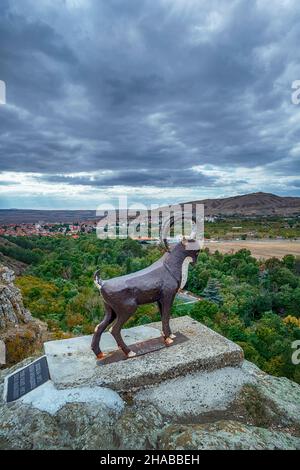 Cute donkey, Bulgaria Stock Photo - Alamy