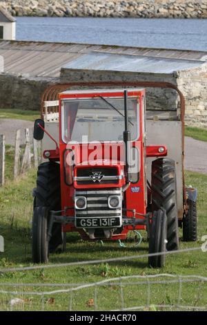 The Outer Hebrides are full of old tractors, still working, they even ...