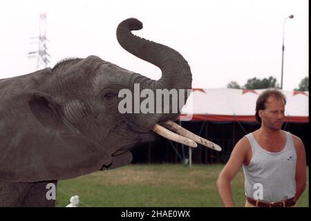 Warszawa, 06.06.1995. Zwierzêta z cyrku "Althoff". Nz. szympans. (kru ...