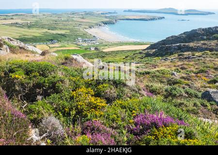 Rugged,cliffs,St. David's Head,and,Carn Llidi,Carn Llidi,a,181 metres ...