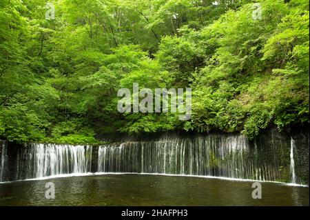 Shiraito Waterfall in Karuizawa, Nagano Japan Stock Photo - Alamy