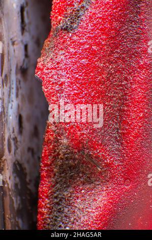 The black burnt-out vehicle parts in a field with small black rocks and ...