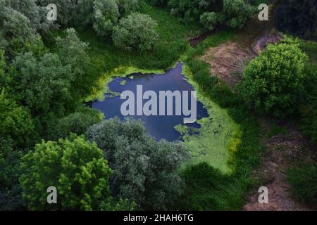 Aerial view of green overgrown lake surrounded with forest Stock Photo ...