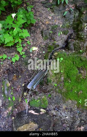 transparent falling water vertical flows against a blue sky and green ...