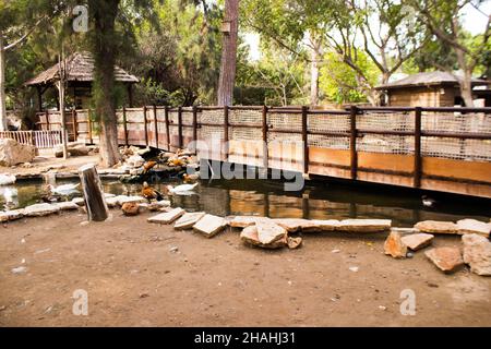 Limassol, Cyprus - December 12, 2021 Limassol Zoo, one of the biggest ...
