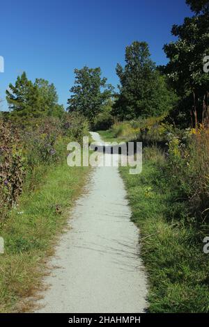 Secluded footpath winding thru the natural prairie and wildflower ...