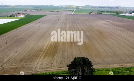Detectorists seen from above Stock Photo - Alamy