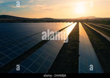 Solar panel farm under sunset sky reflecting light Stock Photo - Alamy