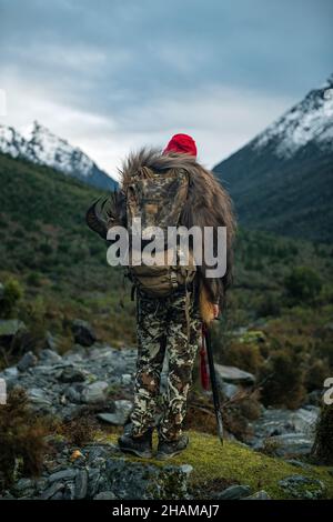 Rear view of hunter carrying mountain goat Stock Photo - Alamy