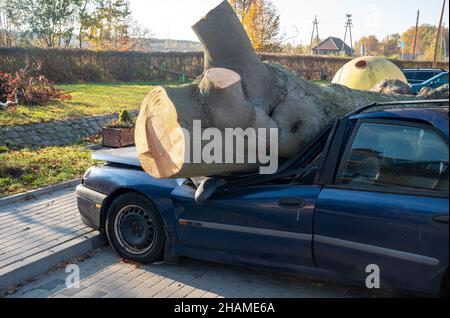 Car crushed by giant tree Stock Photo - Alamy