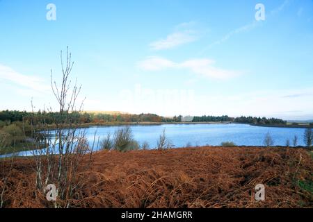 Autumnal view of Redmires Reserves, Hallam Moors, Sheffield, England ...