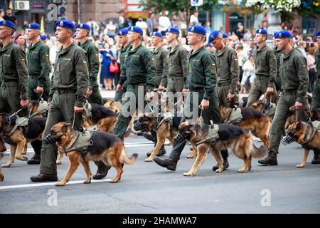 Ukraine, Kiev - August 18, 2020: Border guards with shepherd dogs. The ...