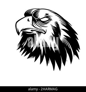 a menacing eagle face in alert. a hand drawn illustration of a wild ...