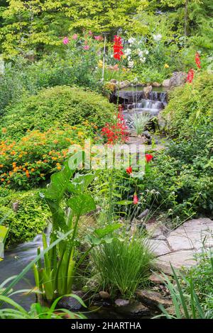 Pond with cascading waterfall bordered by Stephanandra, pink magenta ...