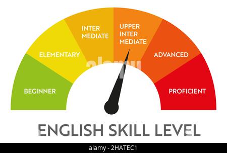 Skill level meter indicator. Business vector chat infographic. Education speedometer Stock ...