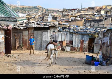Man on a horse in sideways gallop; Travers Gallop-Right Stock Photo - Alamy
