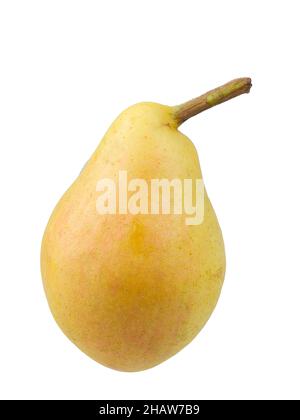 Pear variety Santa Maria, cut out Stock Photo - Alamy