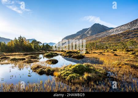 Small pond with bog landscape, Efjord, Tysfjord, Ofoten, Nordland ...