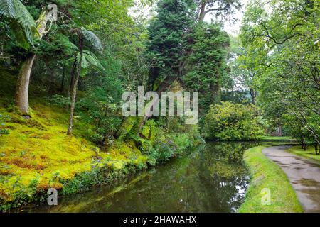 Botanical Garden, Terra Nostra Park, Furnas, Sao Miguel Island, Azores ...