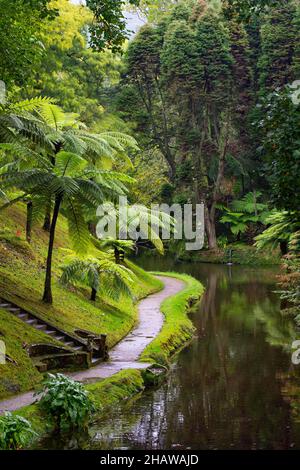 Botanical Garden, Terra Nostra Park, Furnas, Sao Miguel Island, Azores ...