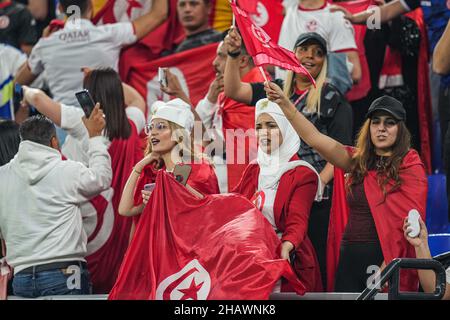 Fans of Qatar cheer in the stands during the World Cup Group B soccer ...