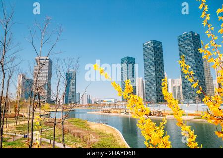 Spring of Songdo Central Park and skyscraper in Incheon, Korea Stock ...